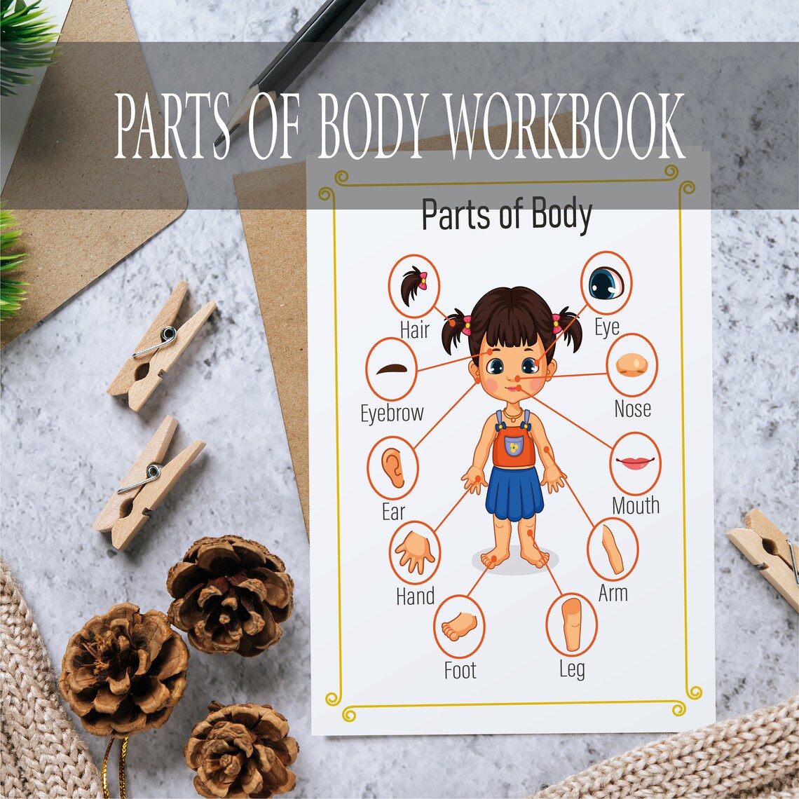 Parts of Body Printable Toddler Worksheet, Montessori Busy Book ...