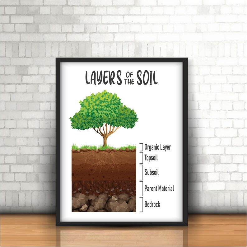 Layer of the Soil Poster, Earth, Montessori Materials, Homeschool ...