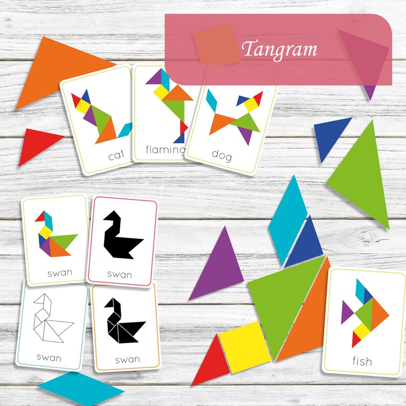 Animal Flashcards Set: Life Cycle, Tangram Game (PDF) - Etsy