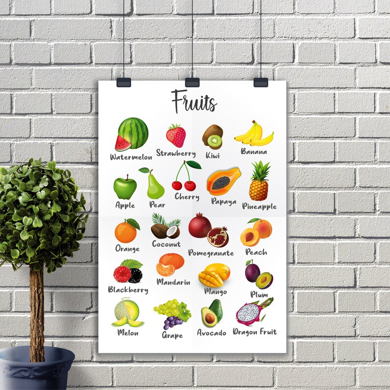 Fruit Chart Poster Educational Decor Printable Digital - Etsy