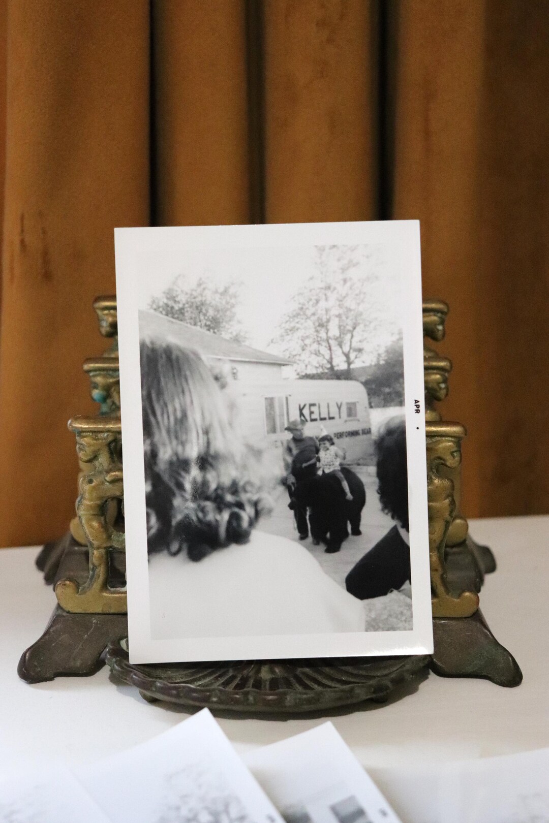 1950s Set of Photographs of Kelly the Bear With Birthday Girl (13 Total ...