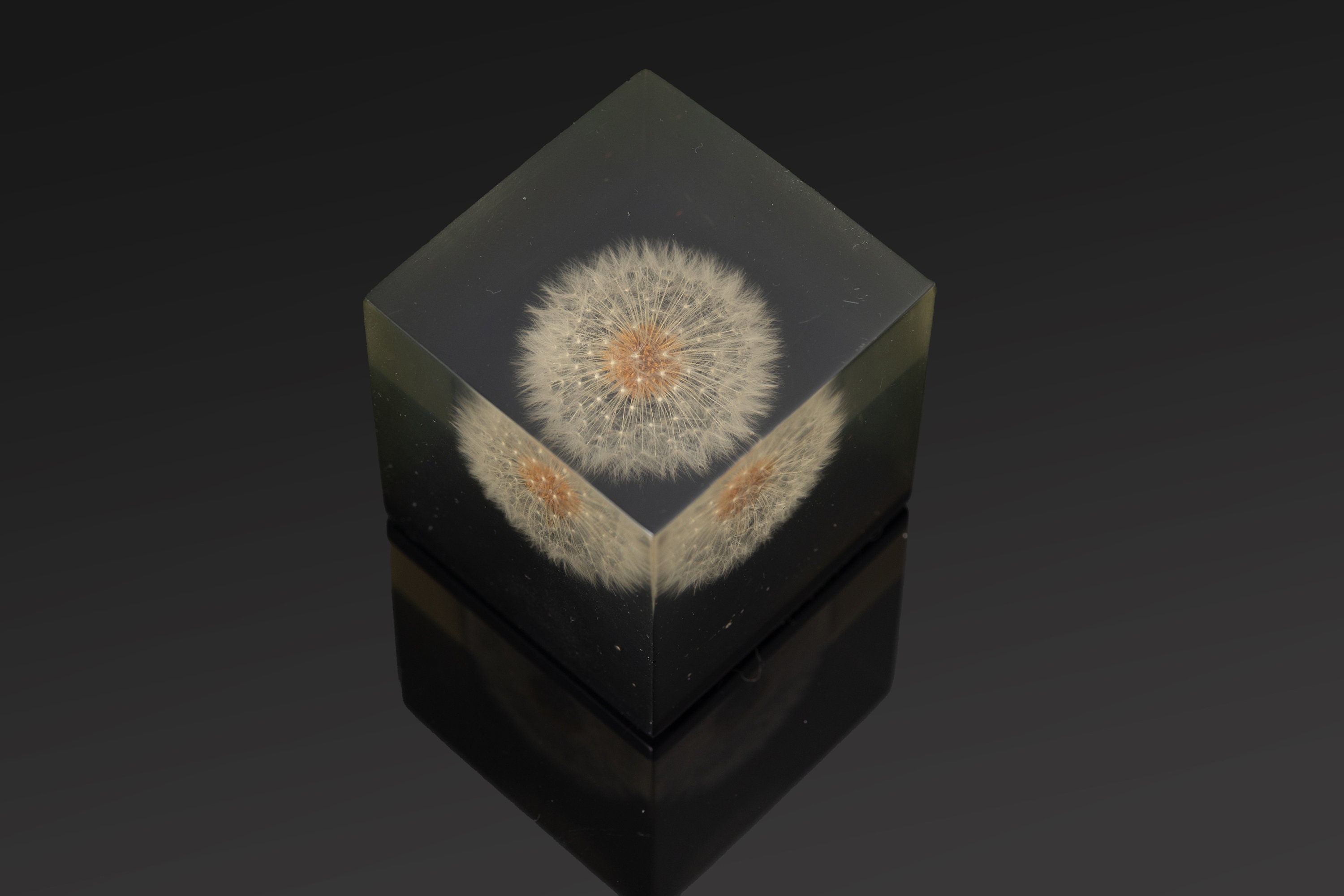 Gumps Dandelion Lucite Enclosed Flower Tabletop Vintage MCM Acrylic ...