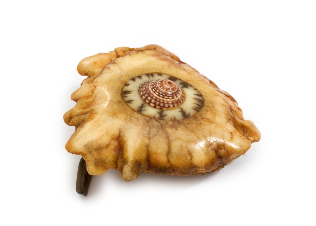 Handcrafted Elk Antler Belt Buckle With Inlaid Shell - Unique Vintage ...