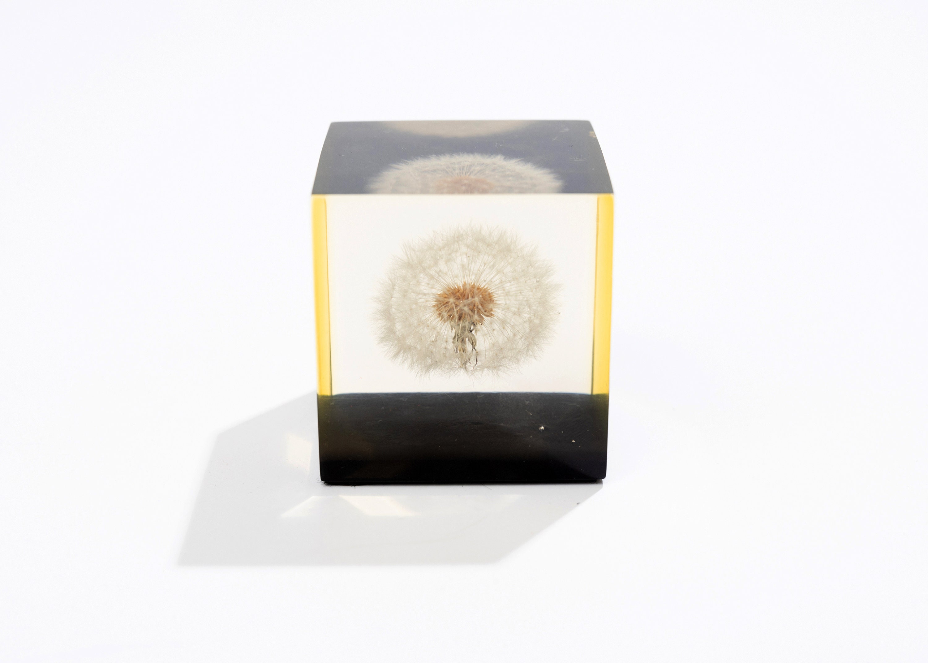 Gumps Dandelion Lucite Enclosed Flower Tabletop Vintage MCM Acrylic ...