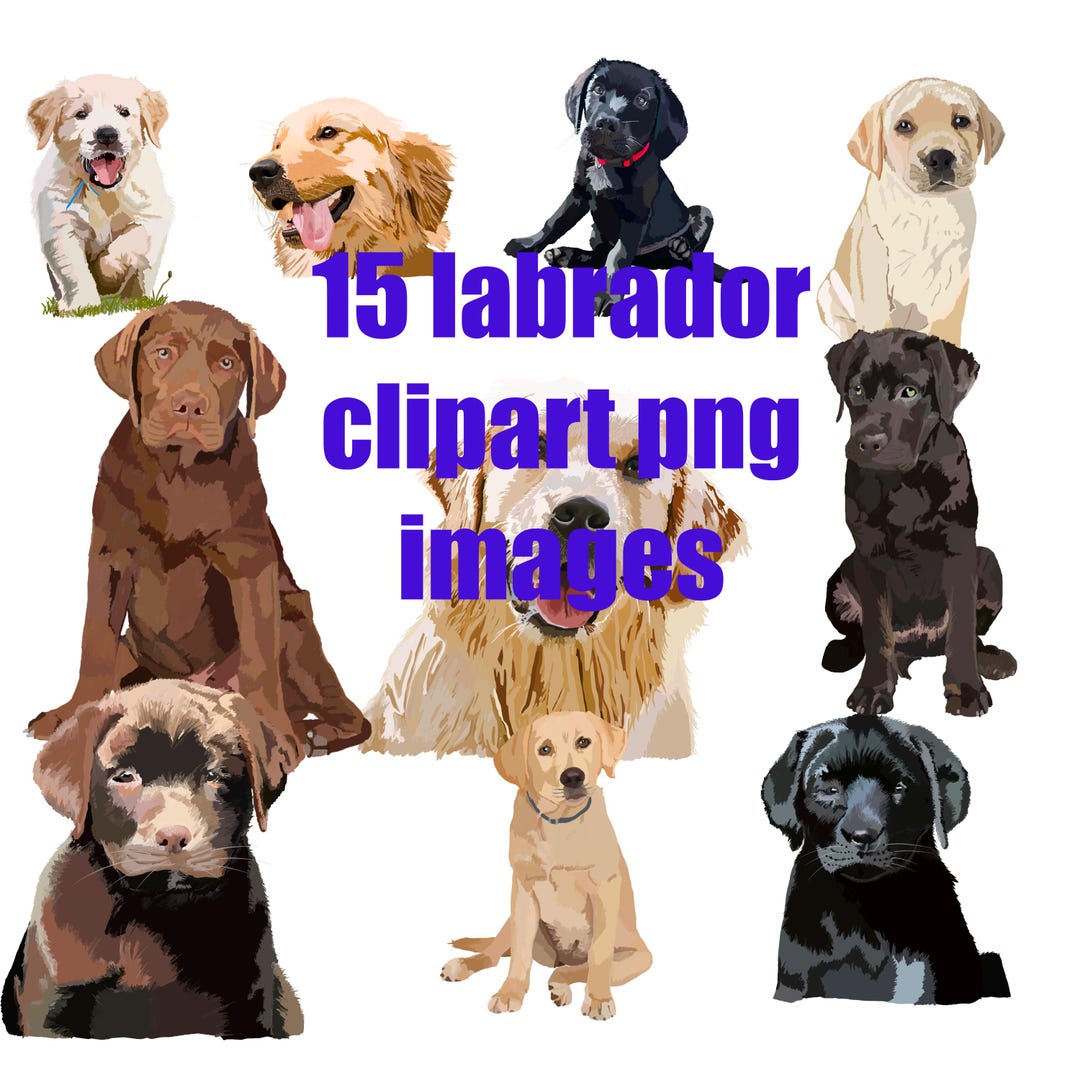 Labrador Digital Png Clip Art - Etsy