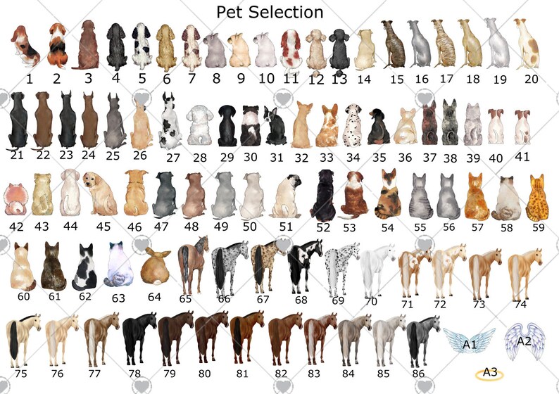 Personalised Pet Family Print our Family digital Print - Etsy