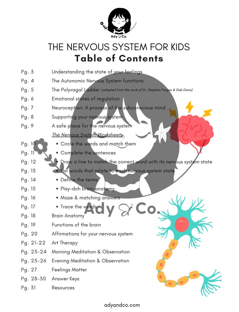 The Nervous System for Kids - Etsy