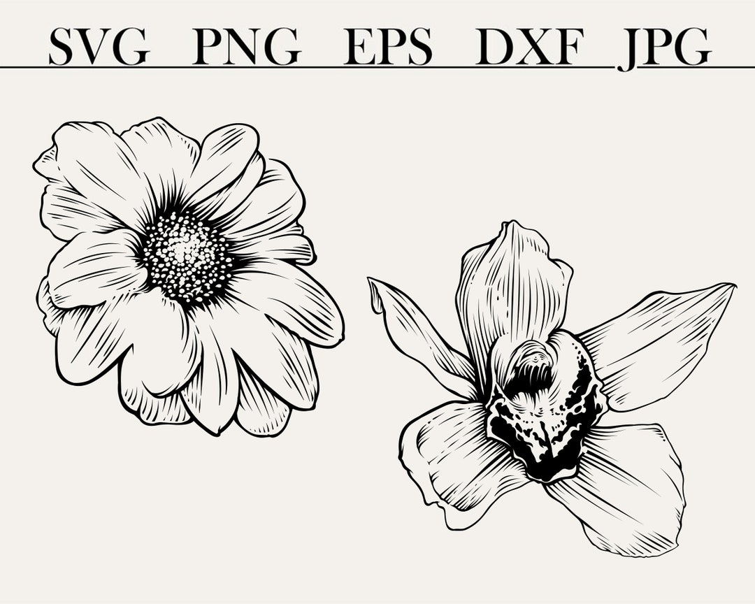 Flowers Svg Cut File Floral Svg Files Silhouette Floral Art Cut Files ...