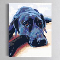 Paint by Numbers - Etsy