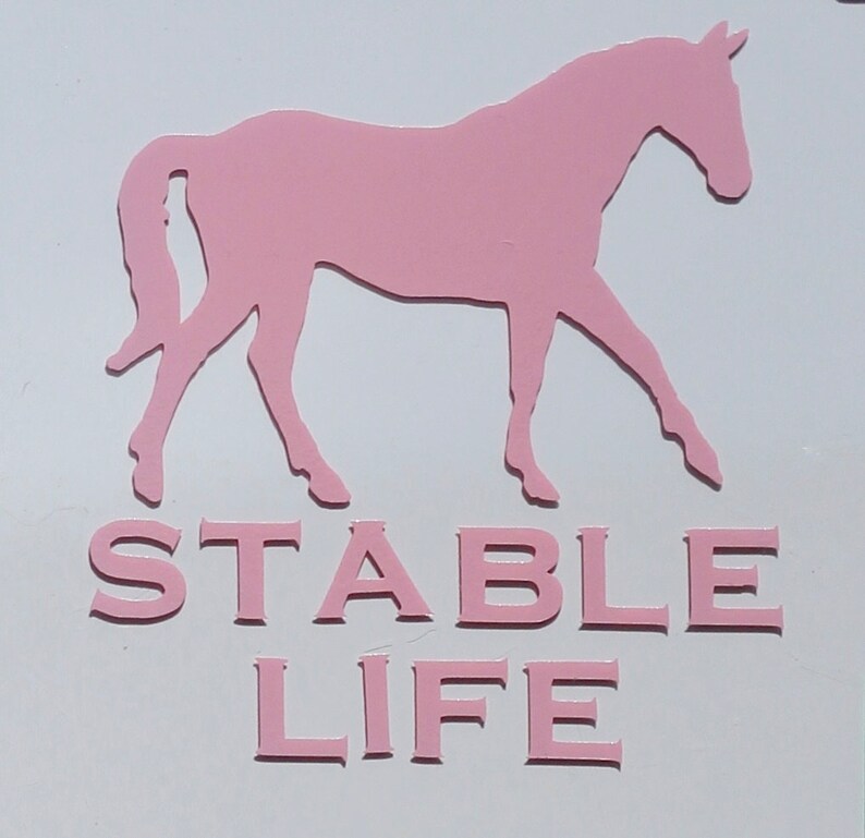 Barn Mom, Barn Dad, Stable Life, Barn Life, Horses Keep Me Stable ...