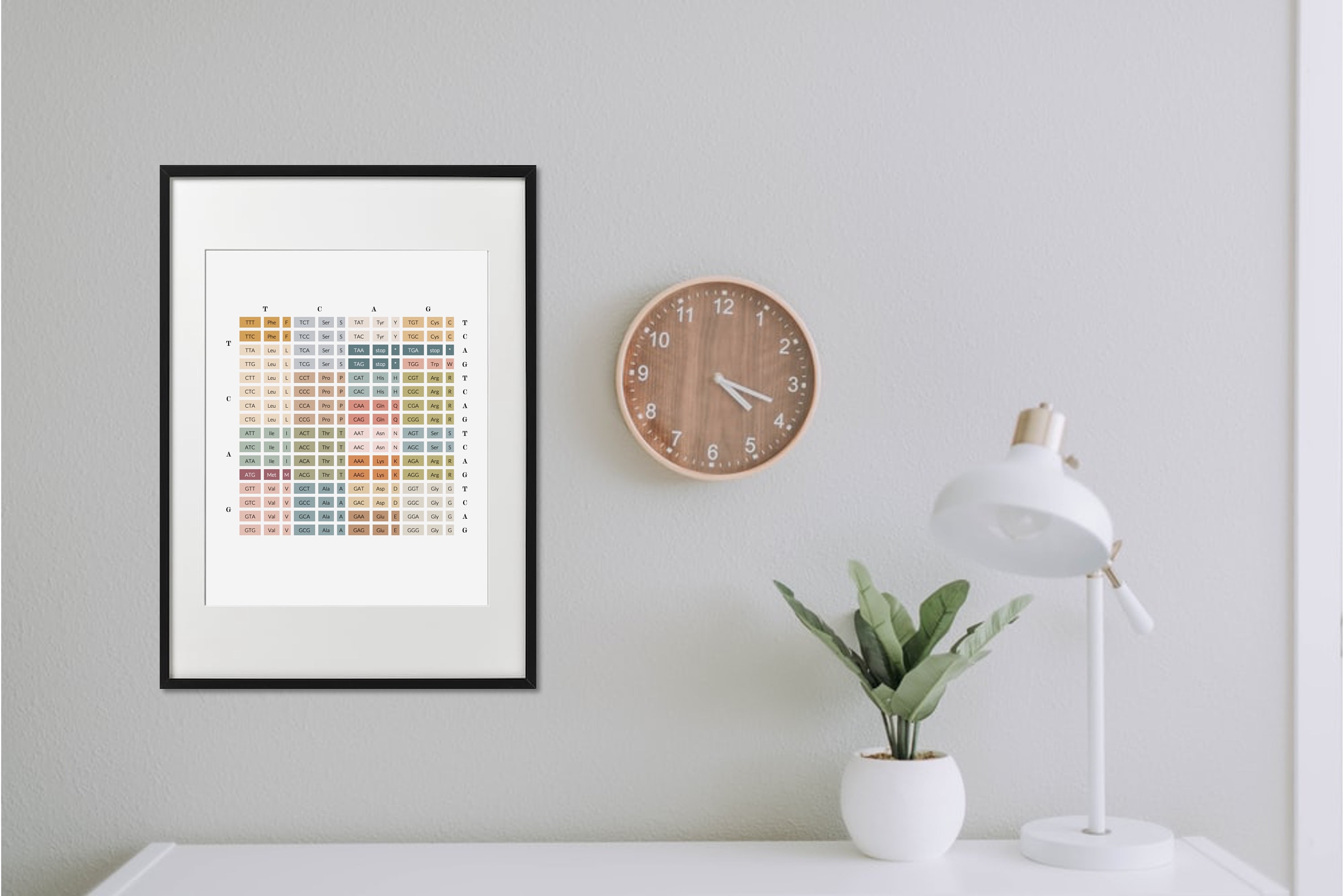 DNA Codon Table Printable Poster - Etsy
