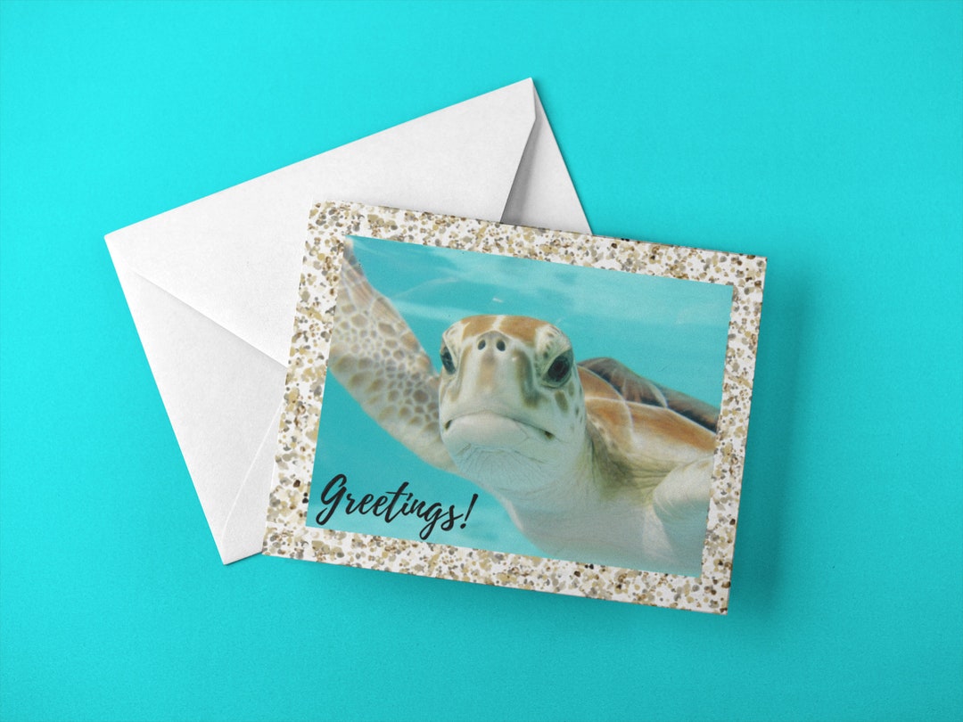 Sea Turtle Stationery Set: 10 Glossy Photo Note Cards & Envelopes ...
