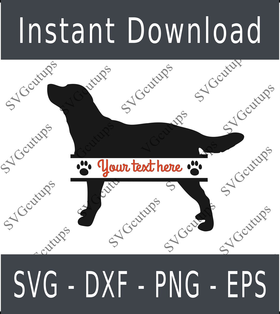 Labrador Retriever Svg, Yellow Lab Svg, Black Lab Svg, Chocolate Lab ...