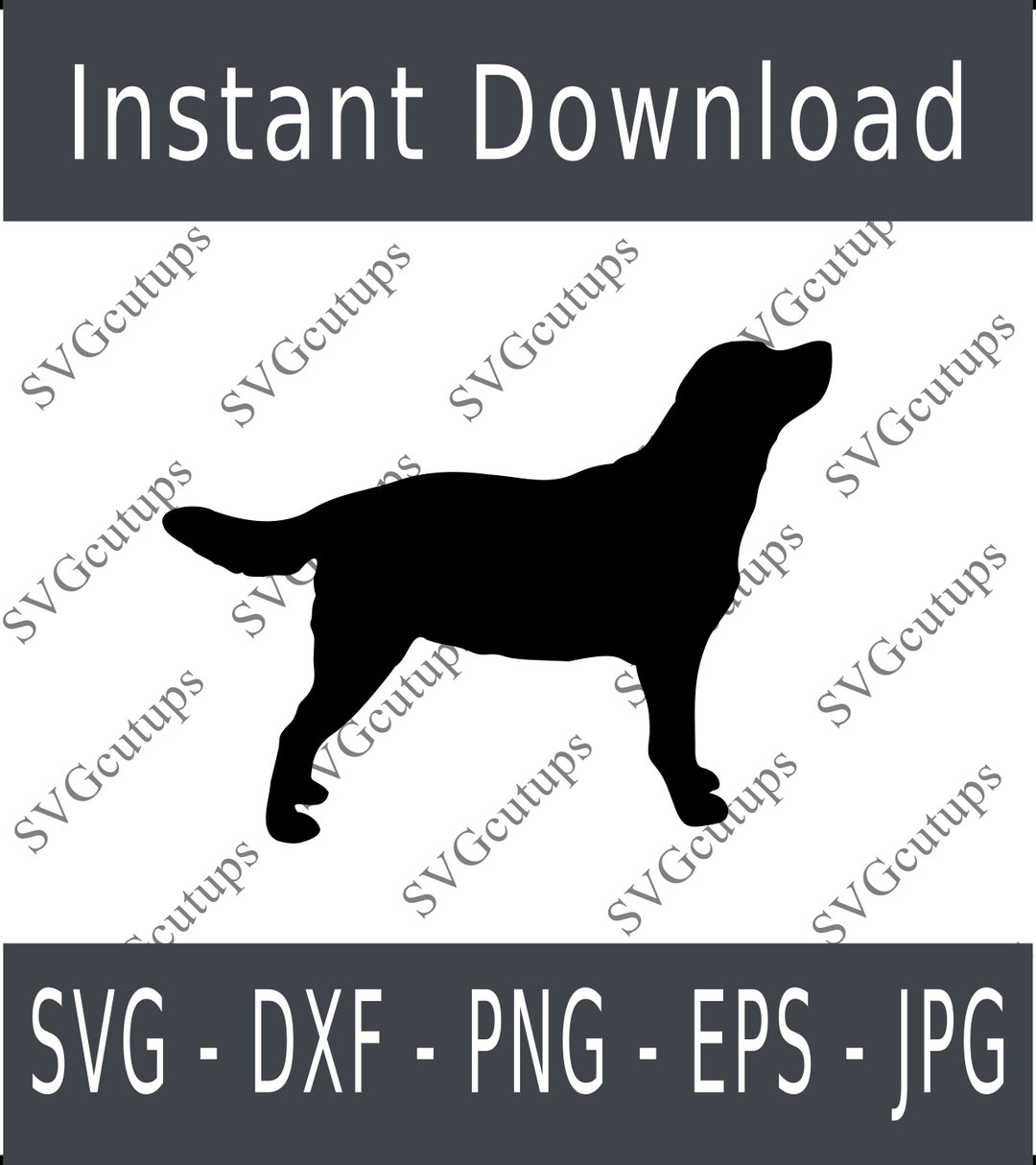 Labrador Retriever Svg, Yellow Lab Svg, Black Lab Svg, Chocolate Lab ...