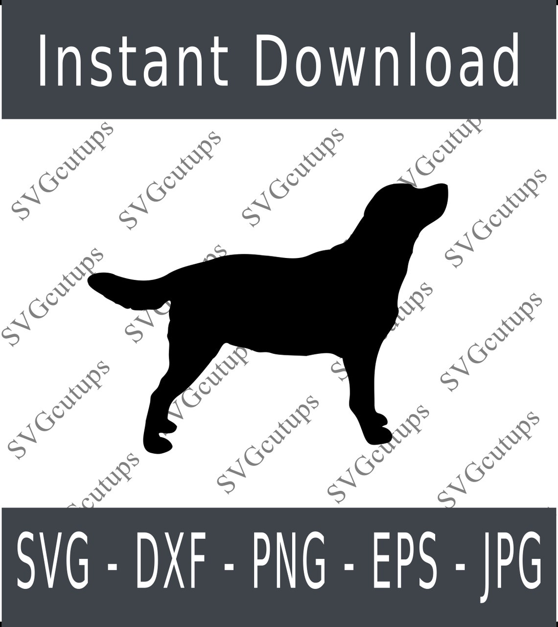 Labrador Retriever Svg Yellow Lab Svg Black Lab Svg - Etsy