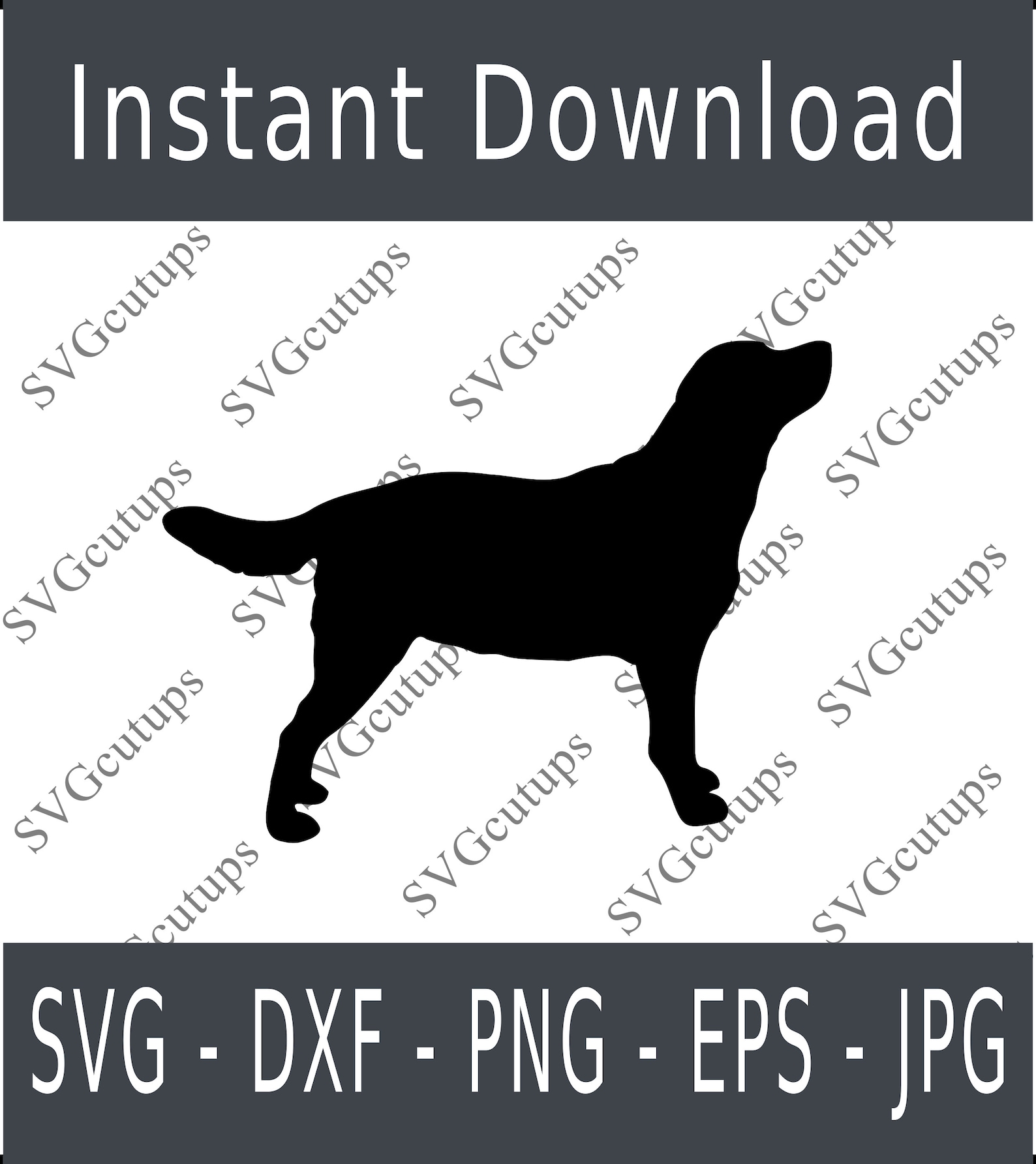 Labrador Retriever Svg Yellow Lab Svg Black Lab Svg - Etsy