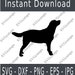 Labrador Retriever Svg, Yellow Lab Svg, Black Lab Svg, Chocolate Lab ...