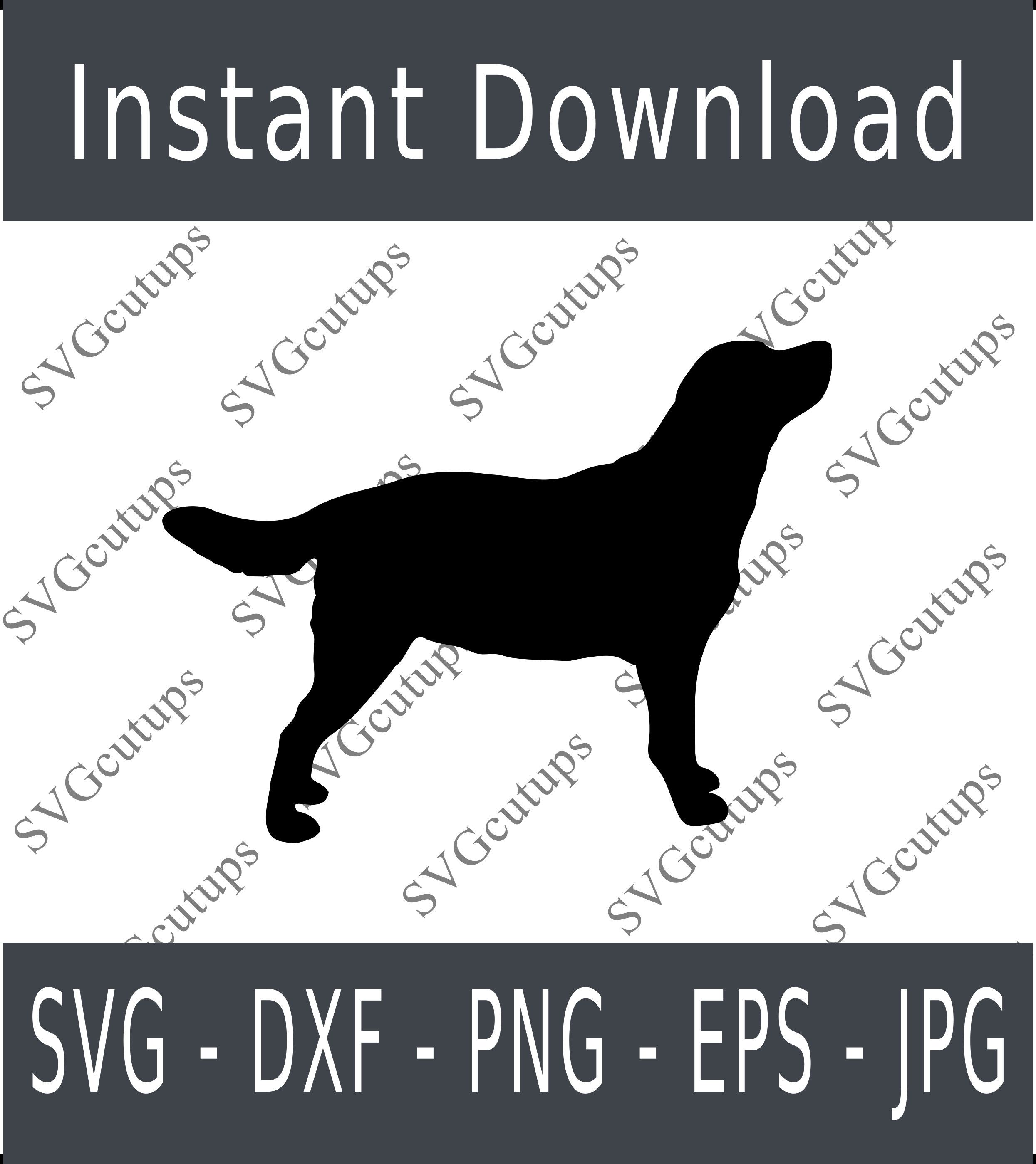 Labrador Retriever Svg Yellow Lab Svg Black Lab Svg - Etsy