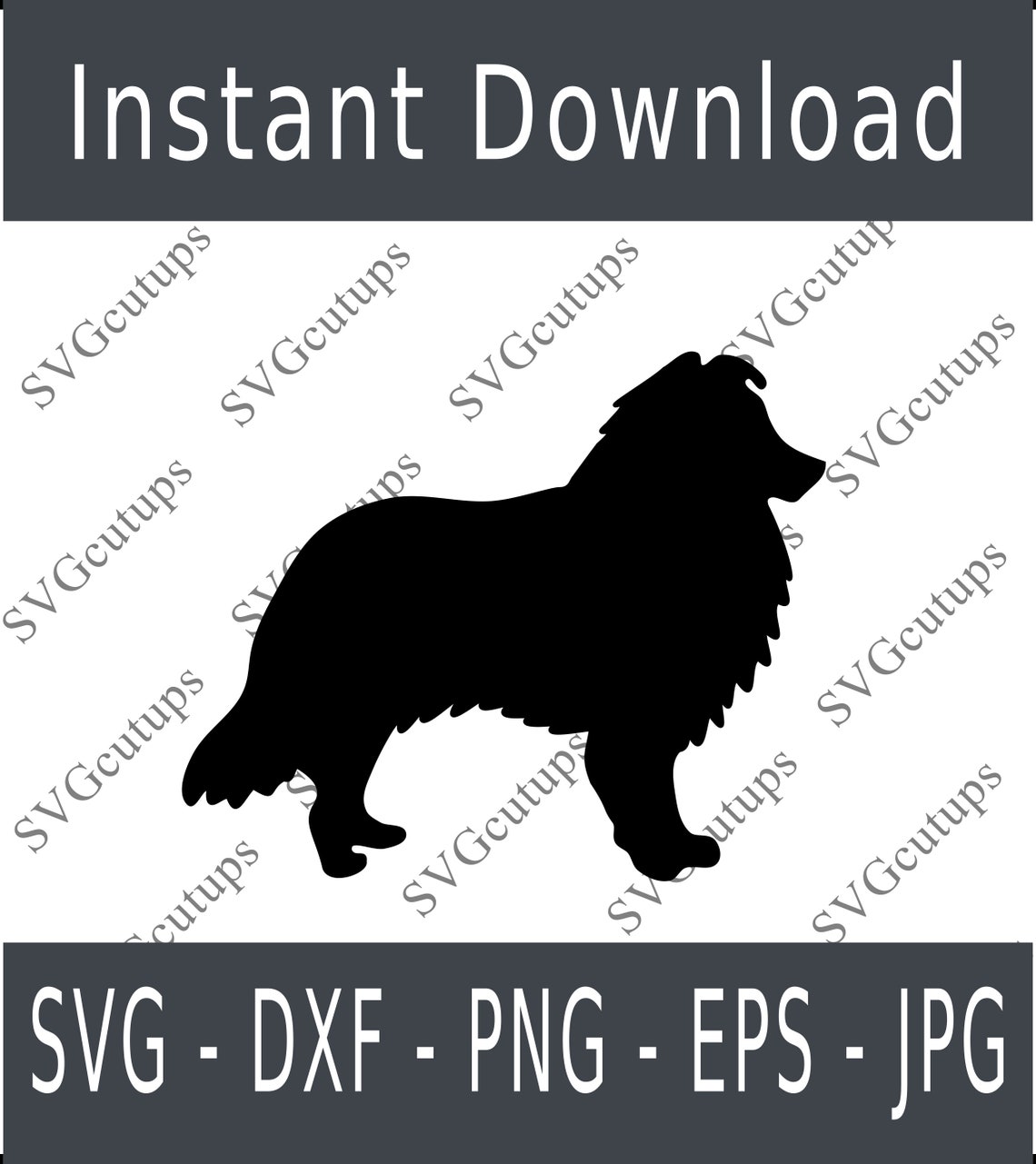 Shetland Sheepdog Svg Sheltie Silhouette Sheltie Cut file - Etsy México