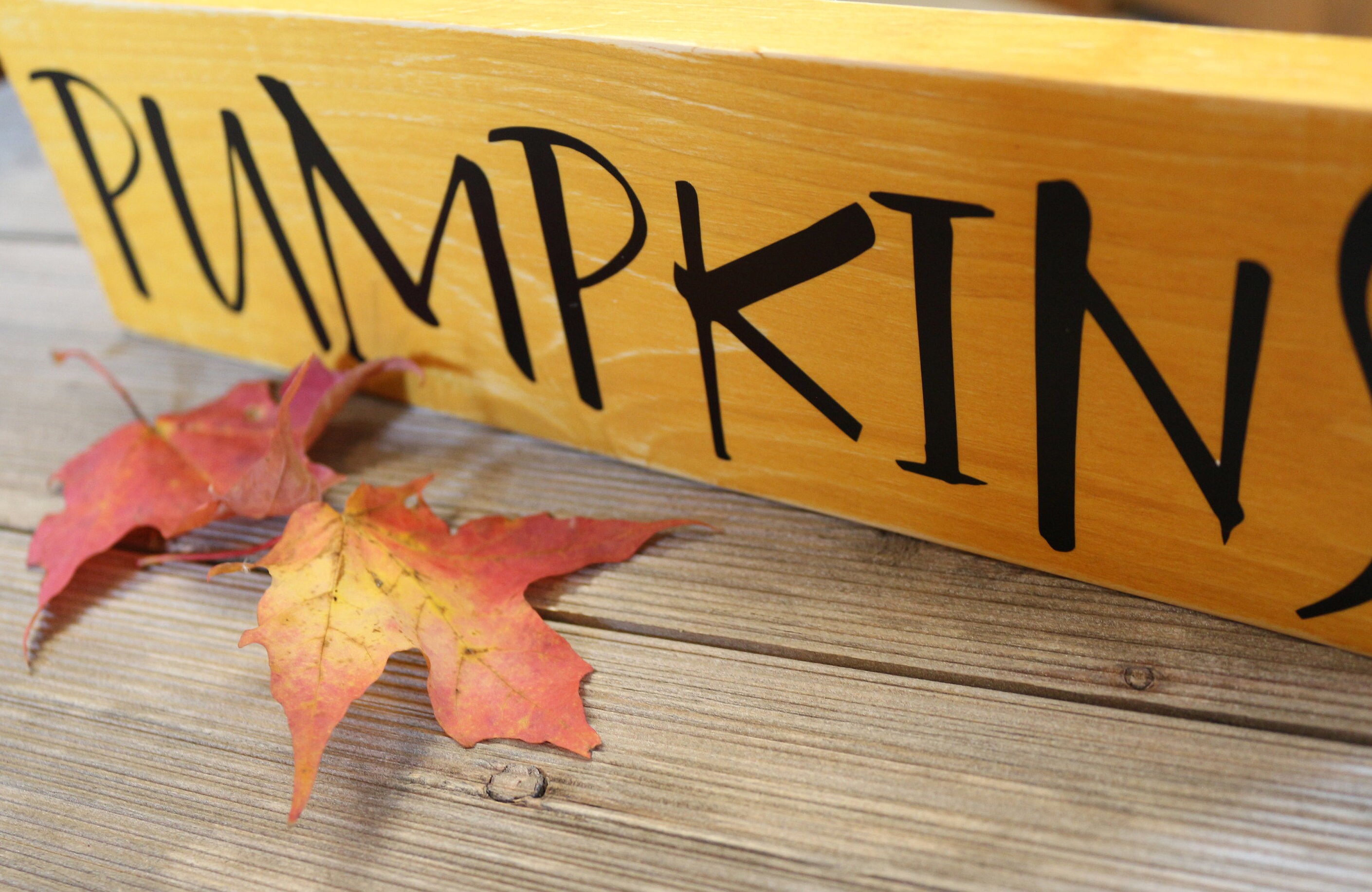Pumpkin Wooden Sign,fall Decor,pumpkin Sign,pumpkins,orange Sign,pine ...