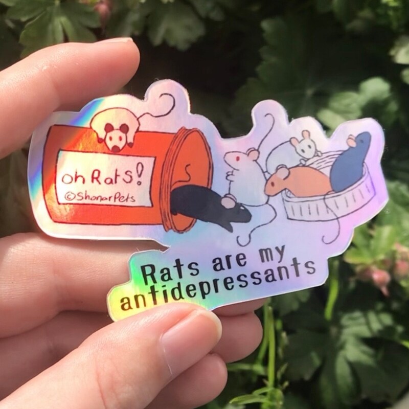Rats - Etsy