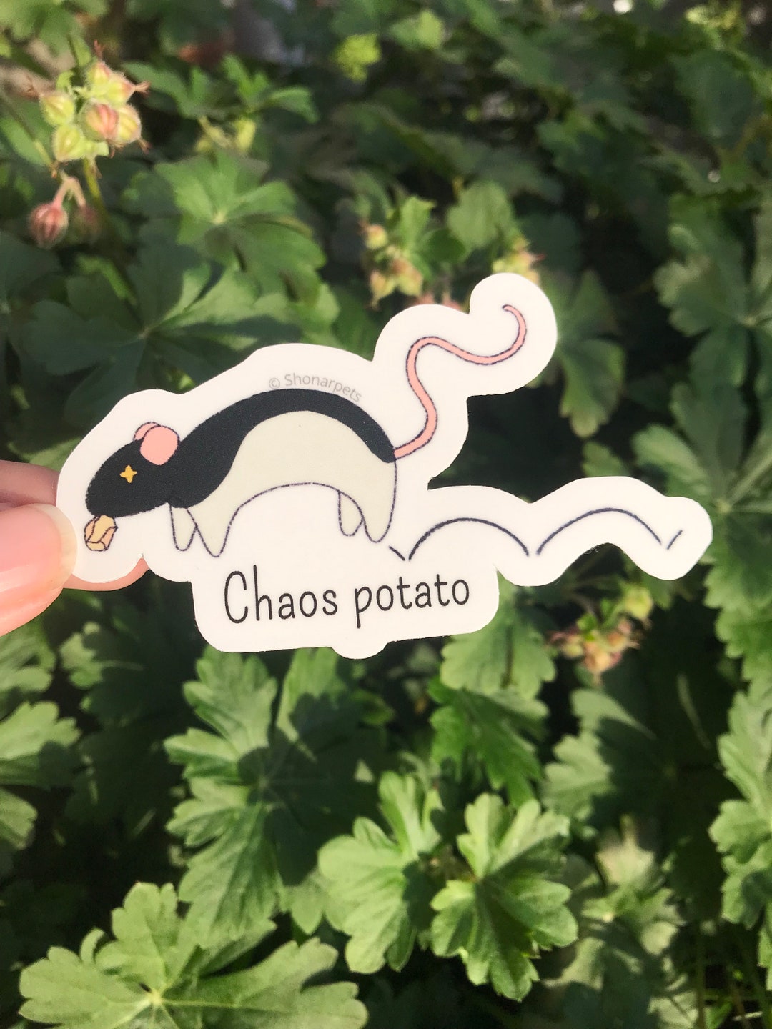 Chaos Potato Rat Sticker | Funny Pet Rat | Waterproof Premium Vinyl ...