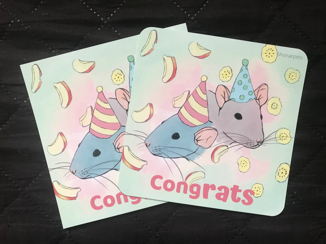 Congrats Birthday Card Fancy Rat Illustration Postcard Graduation Card ...