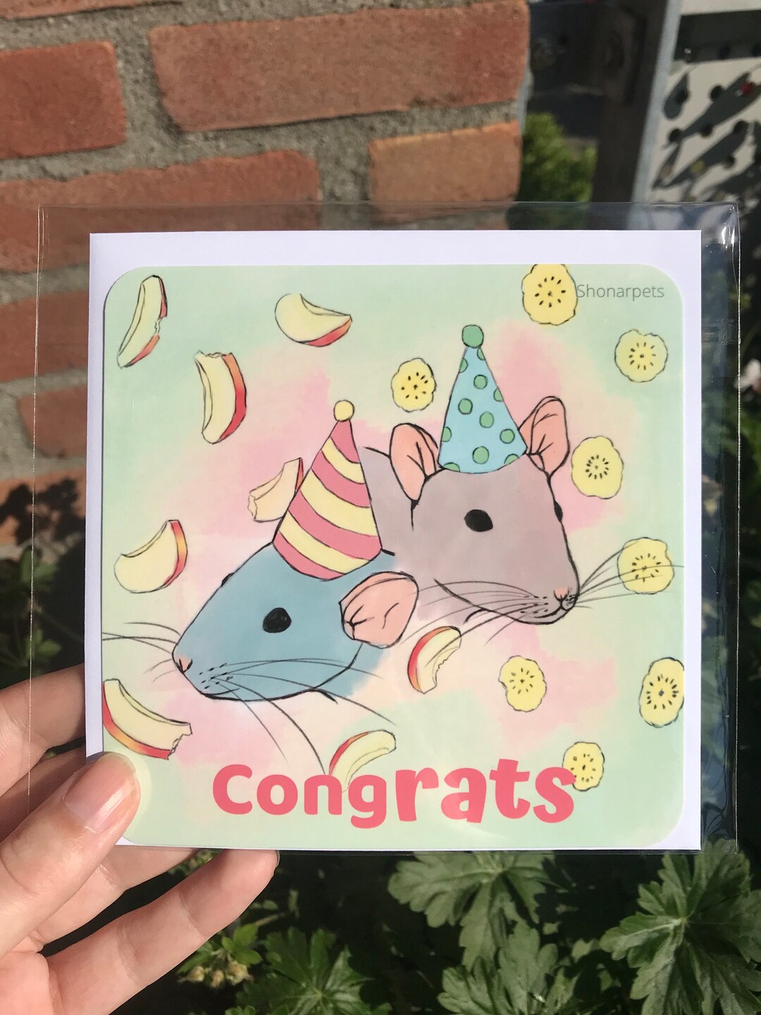 Congrats Birthday Card Fancy Rat Illustration Postcard Graduation Card ...