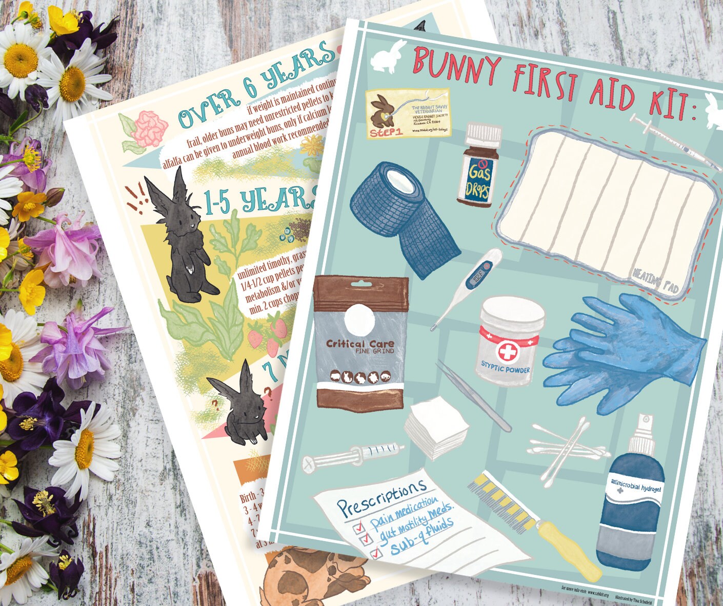 Downloadable Bunny Rabbit Wall Art First Aid Kit Poster house - Etsy