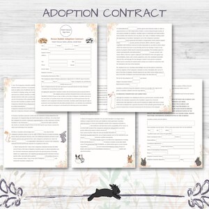 Pet Bunny Rabbit Rescue Shelter Adoption Foster Applications Downloads ...