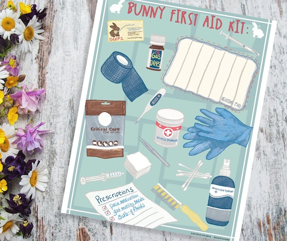 Downloadable Bunny Rabbit Wall Art First Aid Kit Poster house - Etsy
