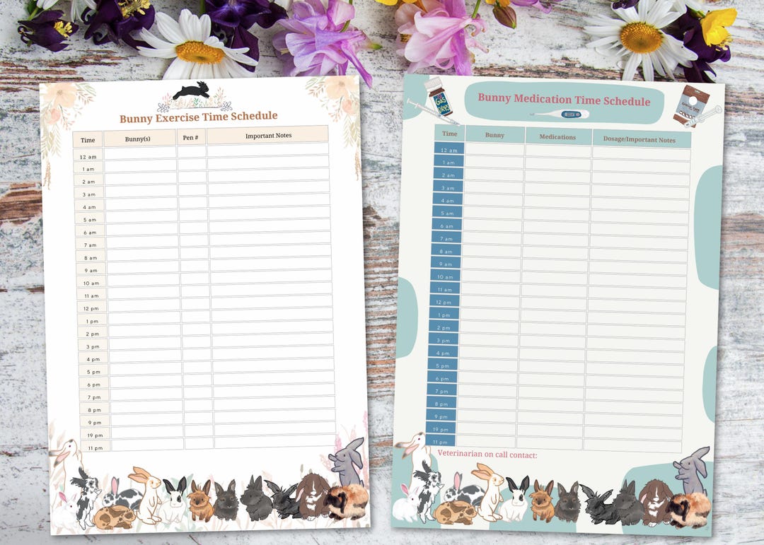 Rescue Shelter Bunny Rabbit Medication Exercise Turnout Log Schedule ...