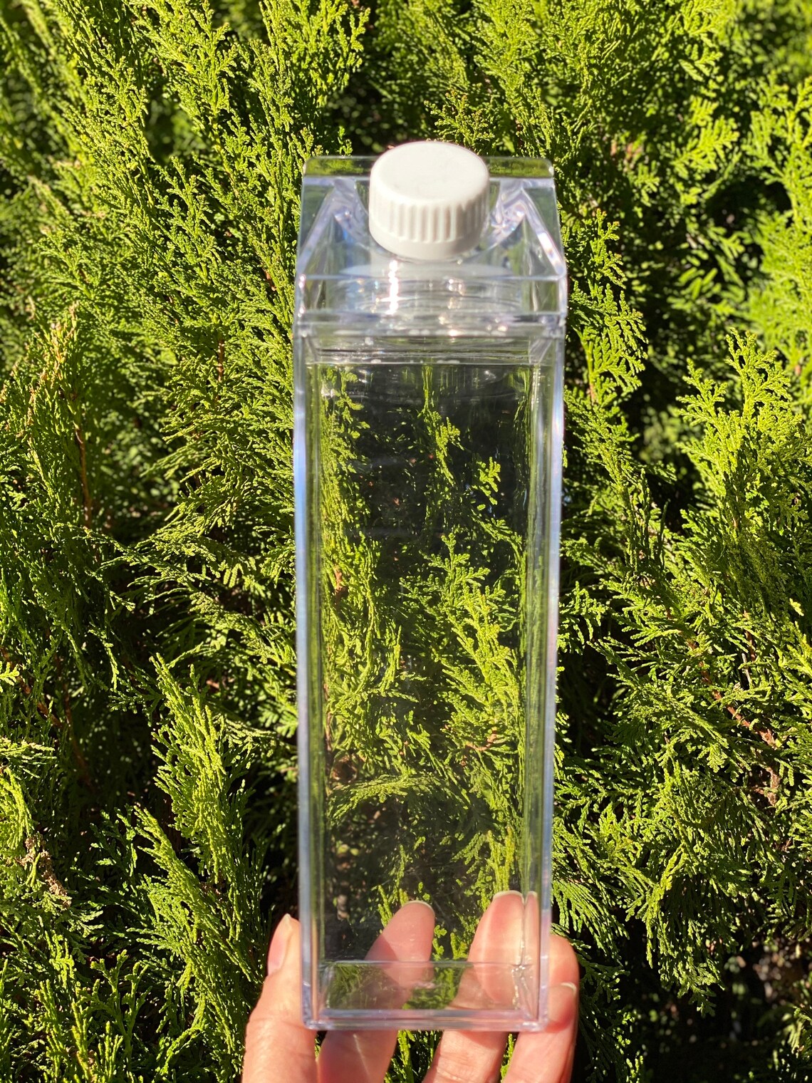 CUSTOM ORDERS, Milk Carton Water Bottle, Customize Water Bottle ...