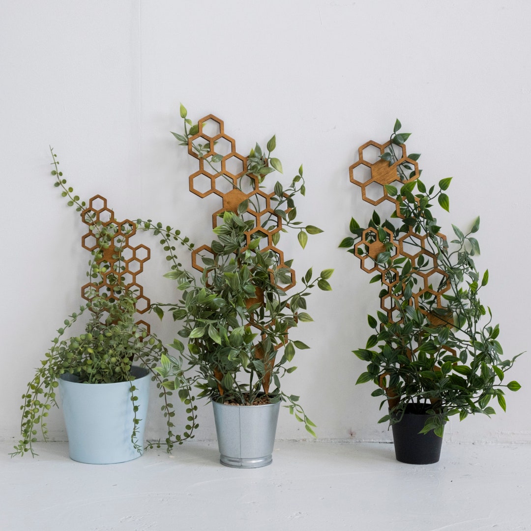 Honeycomb Trellis, Large Plant Trellis, Hexagon Plant Trellis Extension ...