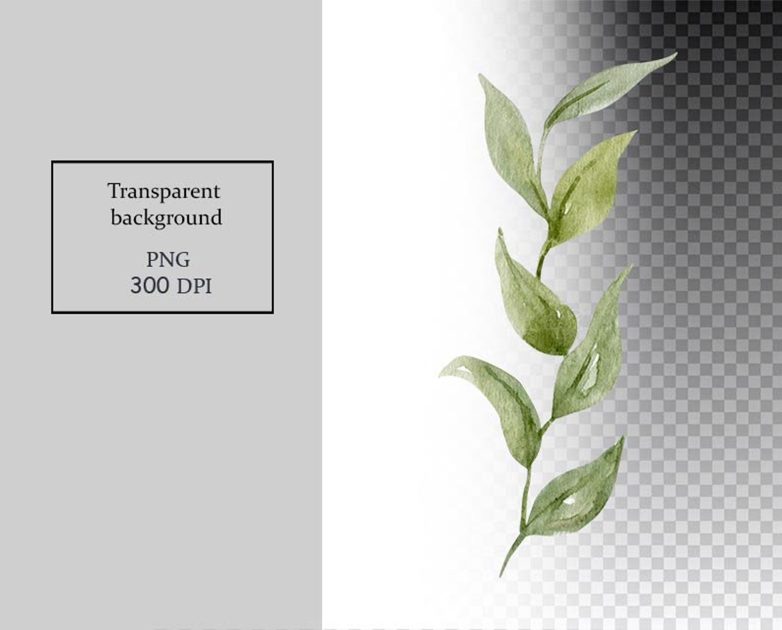 Watercolor Greenery Clipart Sage Green Leaves Png Boho - Etsy