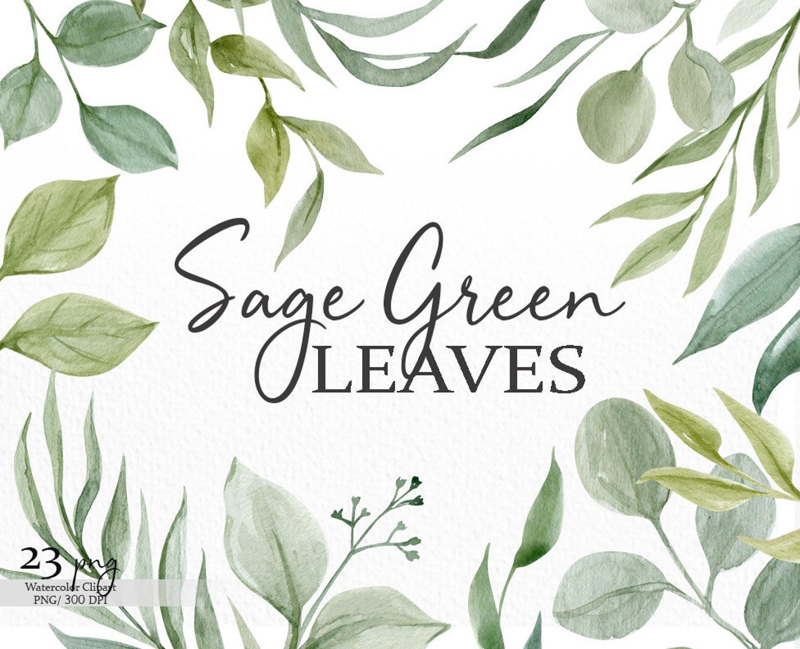 Watercolor Greenery Clipart Sage Green Leaves Png Boho - Etsy