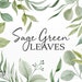 Watercolor Greenery Clipart, Sage Green Leaves Png, Boho Floral Clipart ...