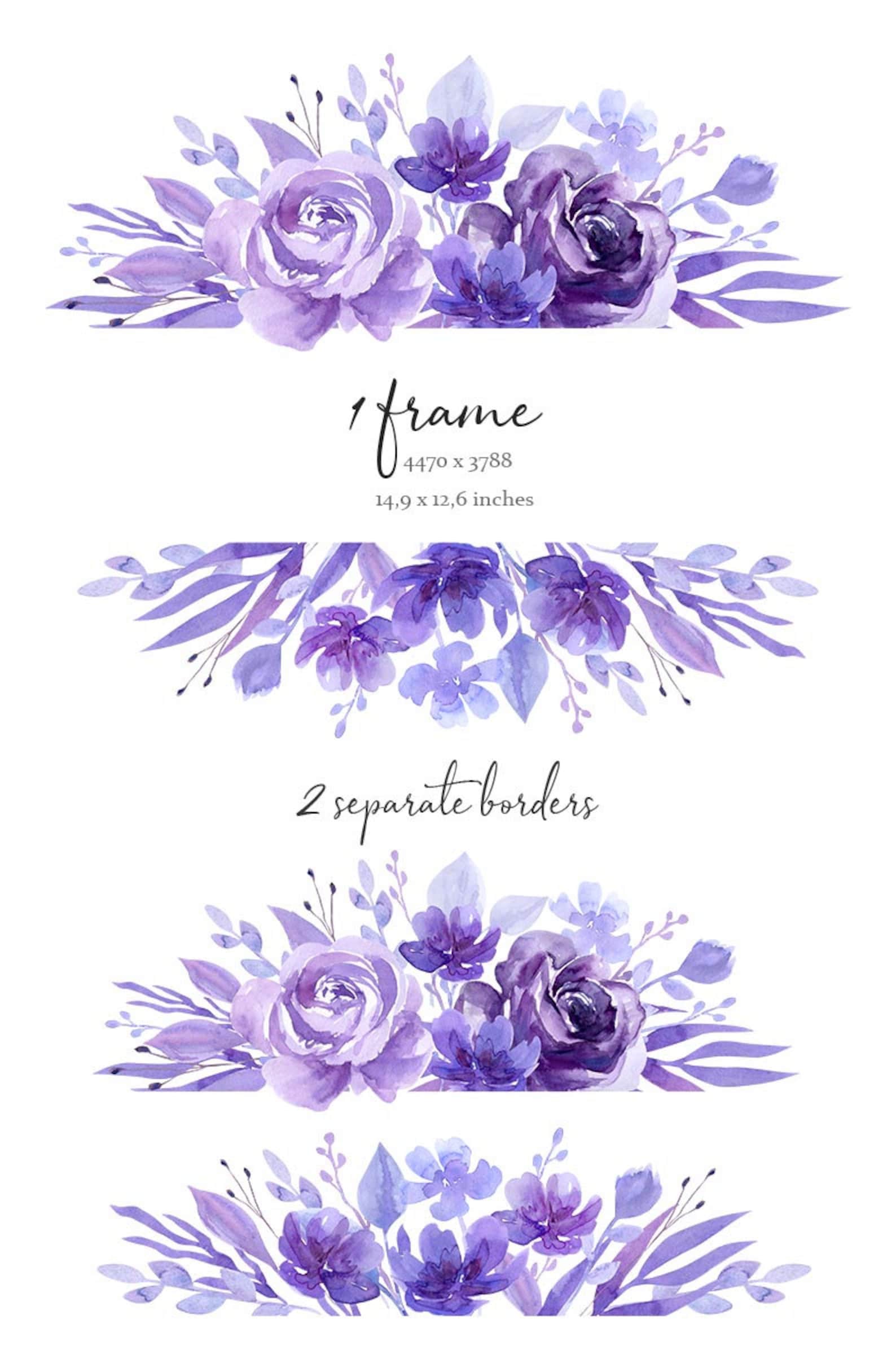 Purple Flower Frame Clipart Floral Border Png Floral Frame - Etsy