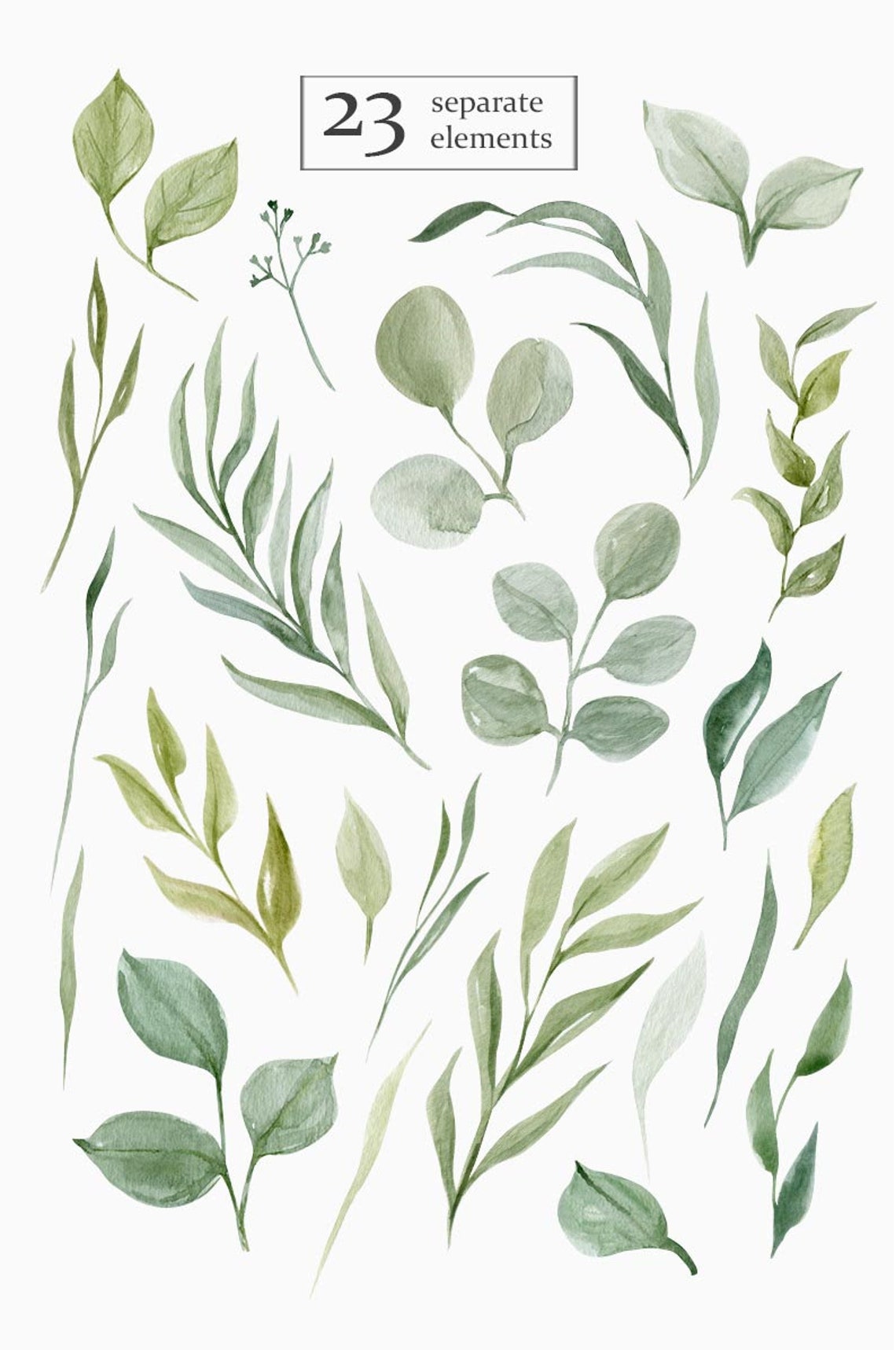 Watercolor Greenery Clipart Sage Green Leaves Png Boho - Etsy