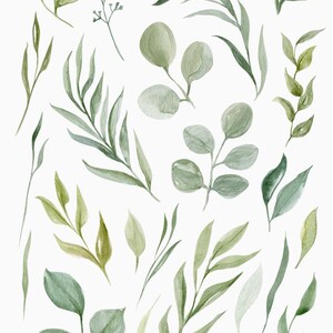 Watercolor Greenery Clipart, Sage Green Leaves Png, Boho Floral Clipart ...