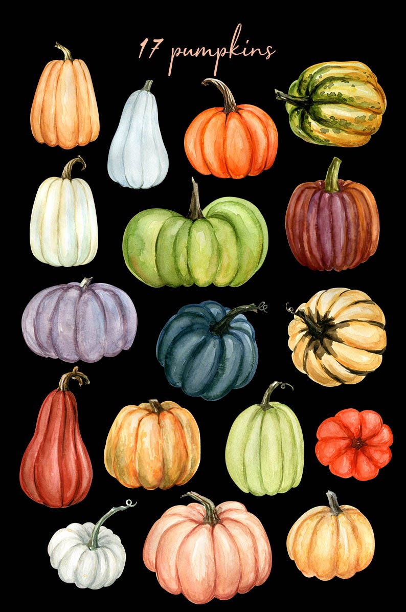 Pumpkin Clipart Watercolor Fall Clipart Autumn Clipart - Etsy