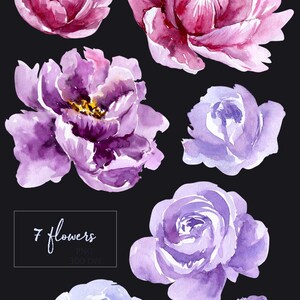 Spring Flowers Watercolor Clipart, Pink Purple Peonys Clipart ...