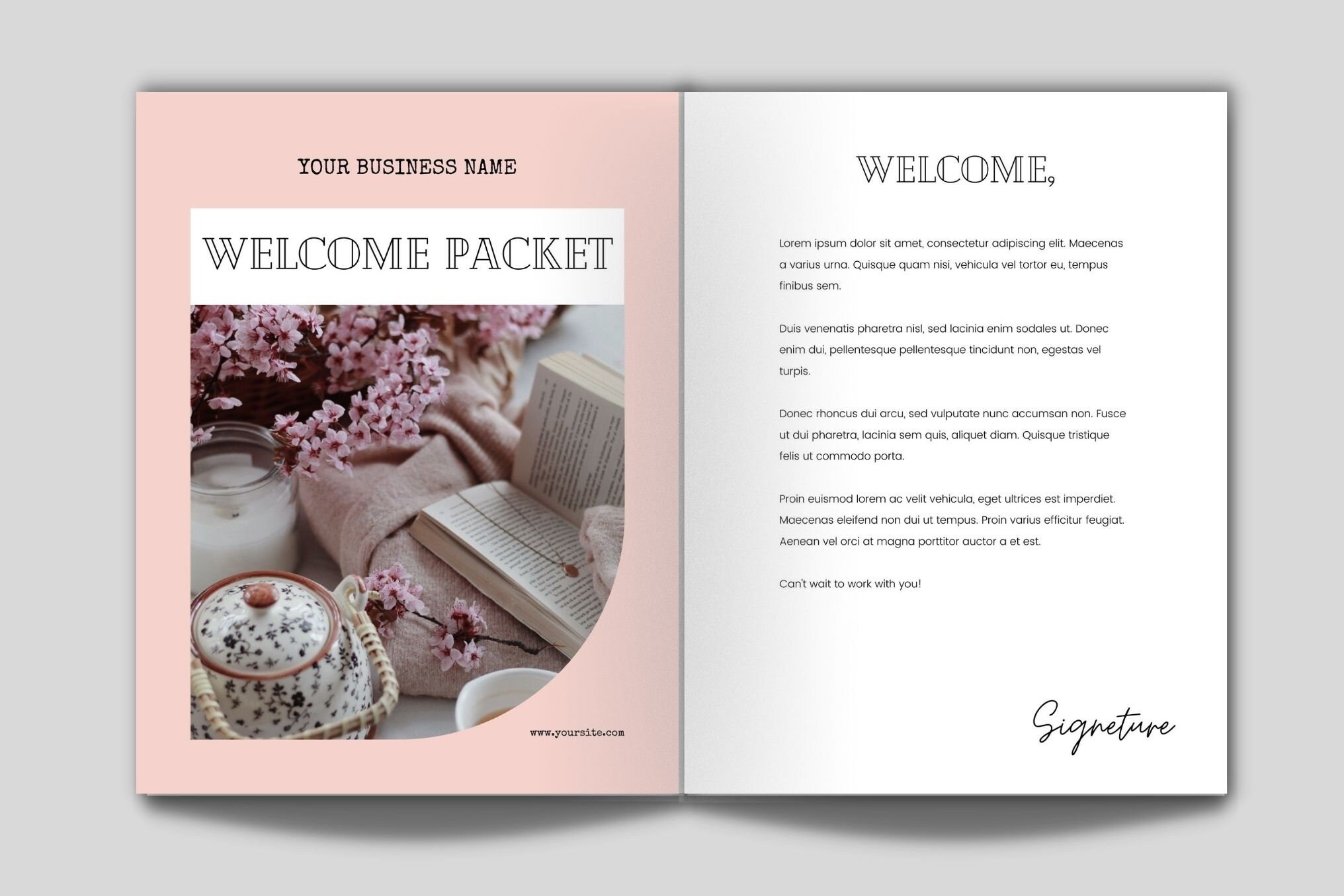 Editable Client Welcome Packet Template Canva Editable Virtual Assistant Welcome Packet New