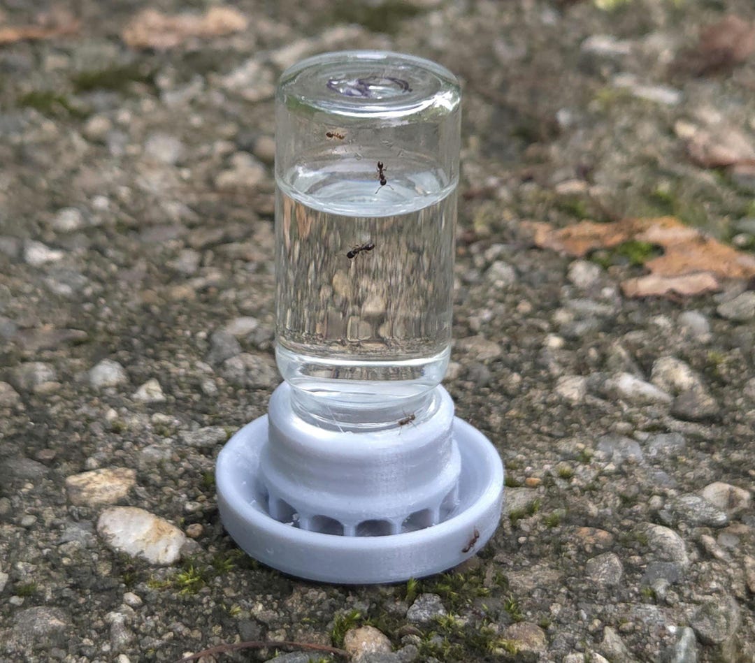 Small Liquid Ant Feeder, 10ml, With Screen Barrier. - Etsy