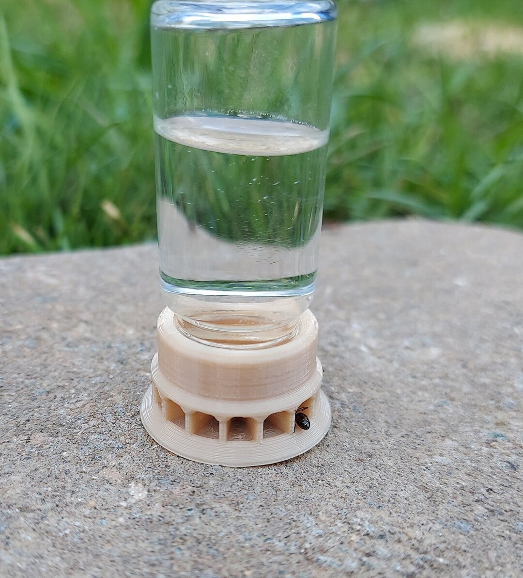 Small Liquid Ant Feeder, 10ml, With Screen Barrier. - Etsy
