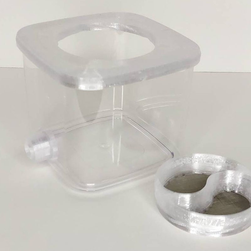 Ant Farm Out World - Etsy