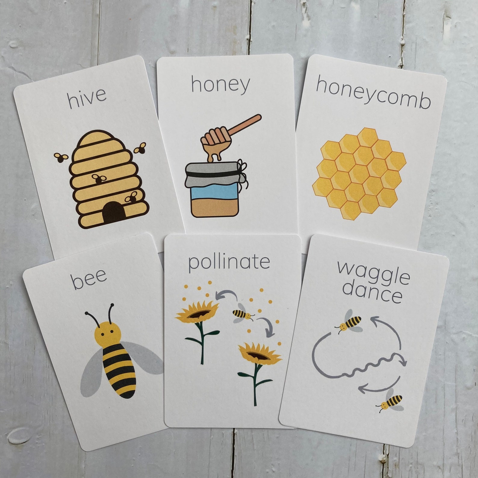Bee Flashcards - Etsy