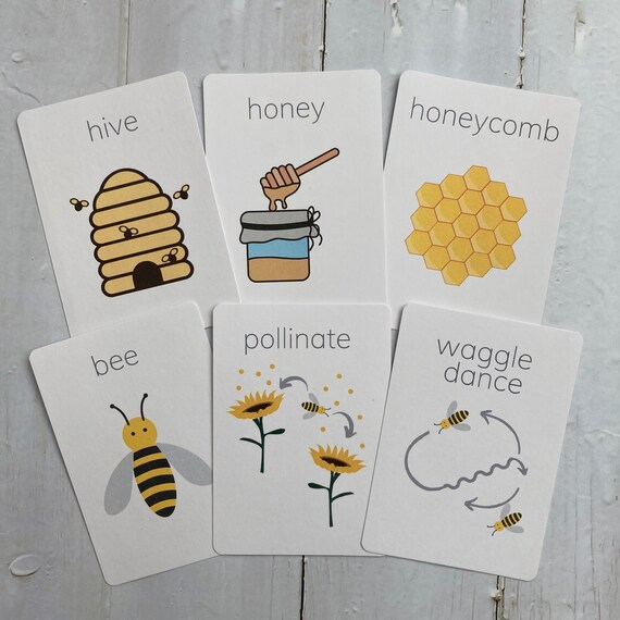Bee Flashcards - Etsy