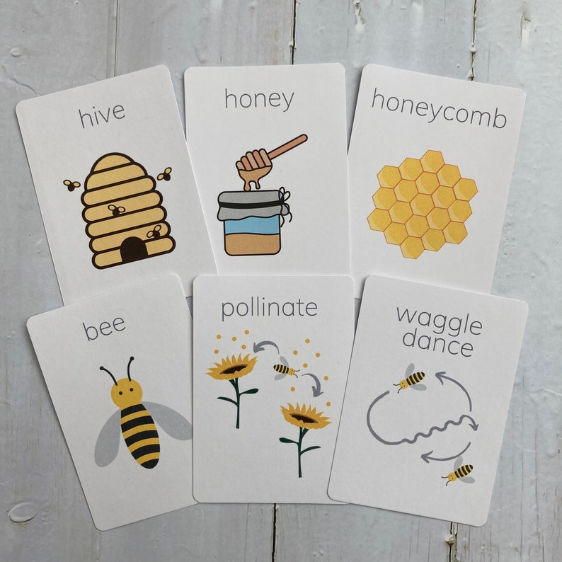 Bee Flashcards - Etsy