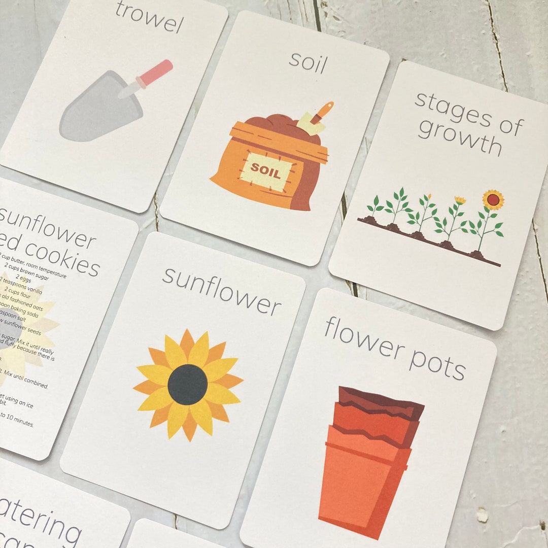 Sunflower Flashcards - Etsy
